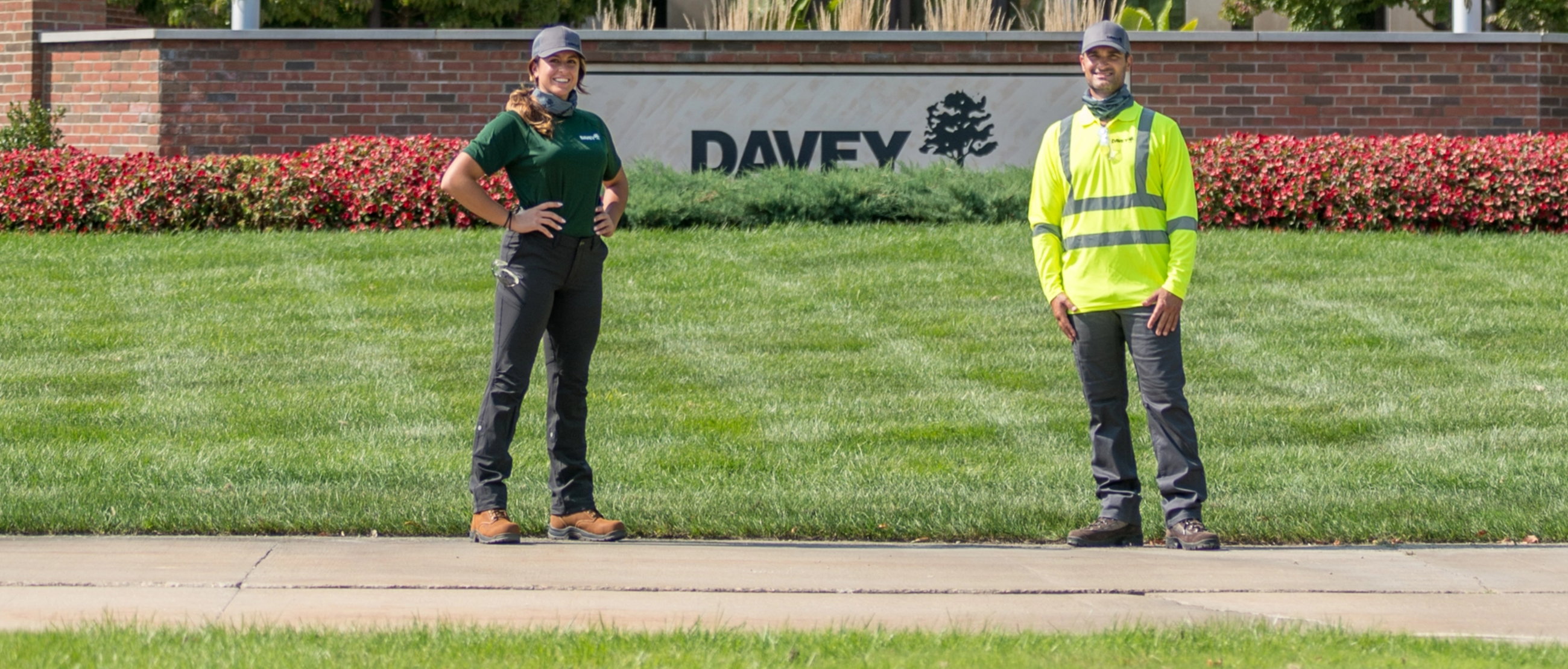 Local Tree Services & Lawn Care | Wickes/arborists, a Davey Co.